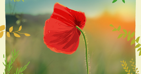 Naïs | Dans la cour des grands